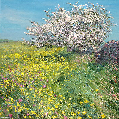 Mark Preston - landscape artist